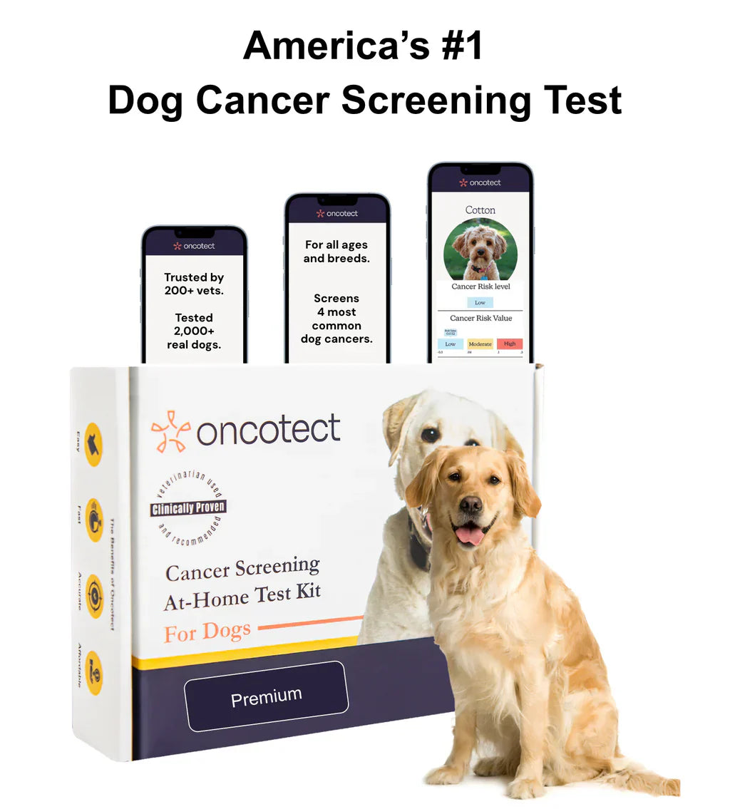 Advancing Pet Health: The Power of Early Cancer Screening for Dogs ...