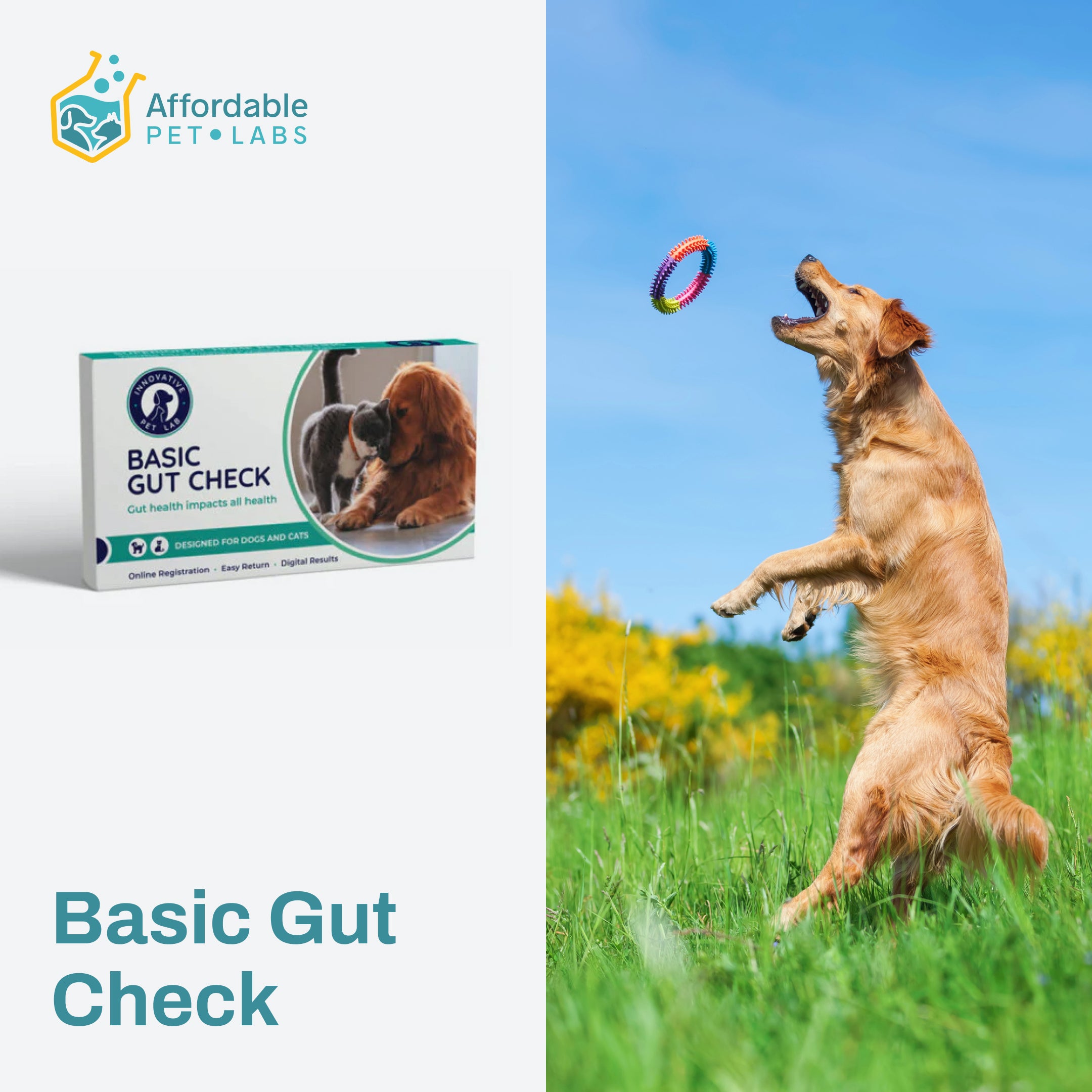 Basic Gut Check For Dogs – Affordable Pet Labs