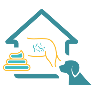 Basic Fecal Test for Dogs | Affordable Pet Labs