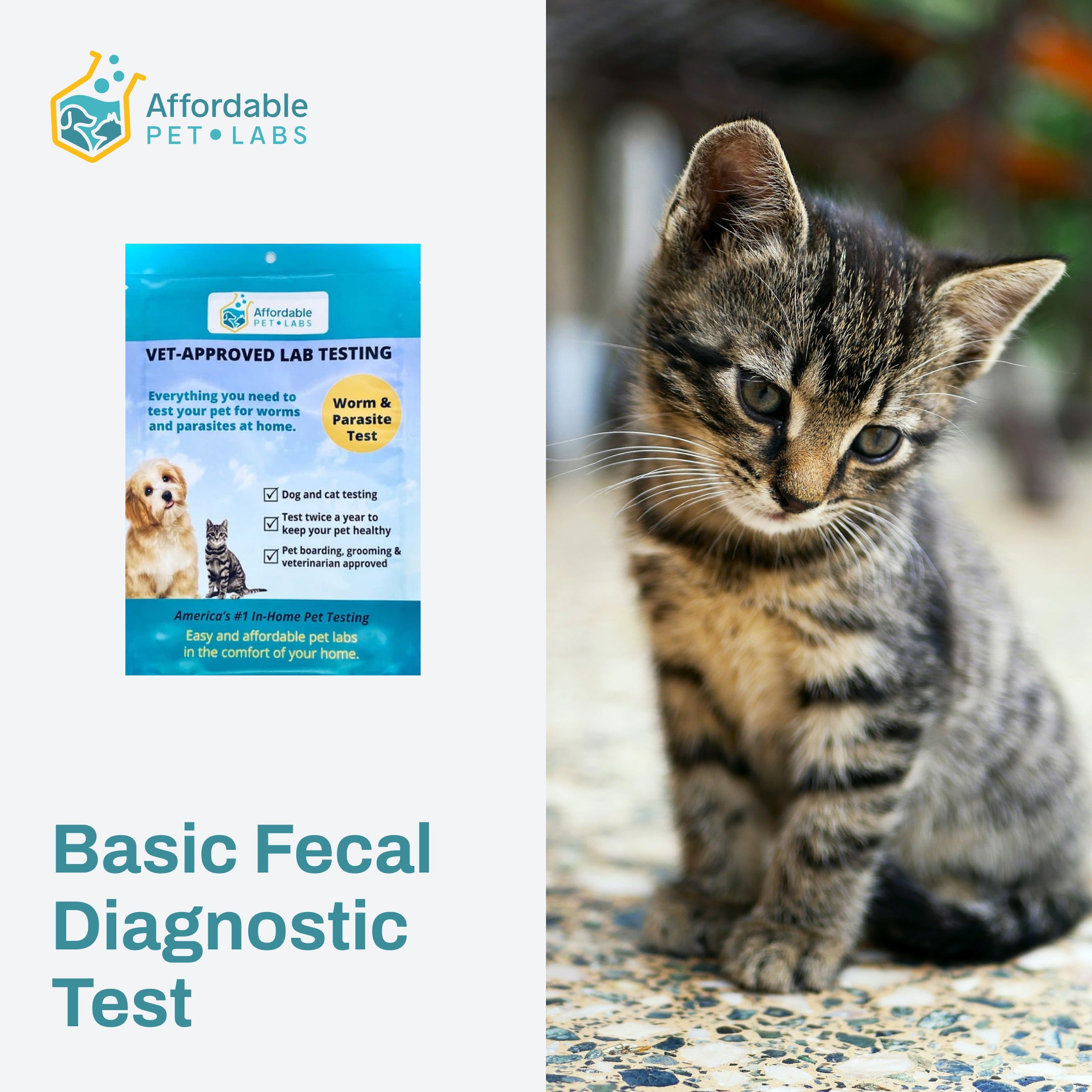Basic Fecal Test for Cats | Affordable Pet Labs