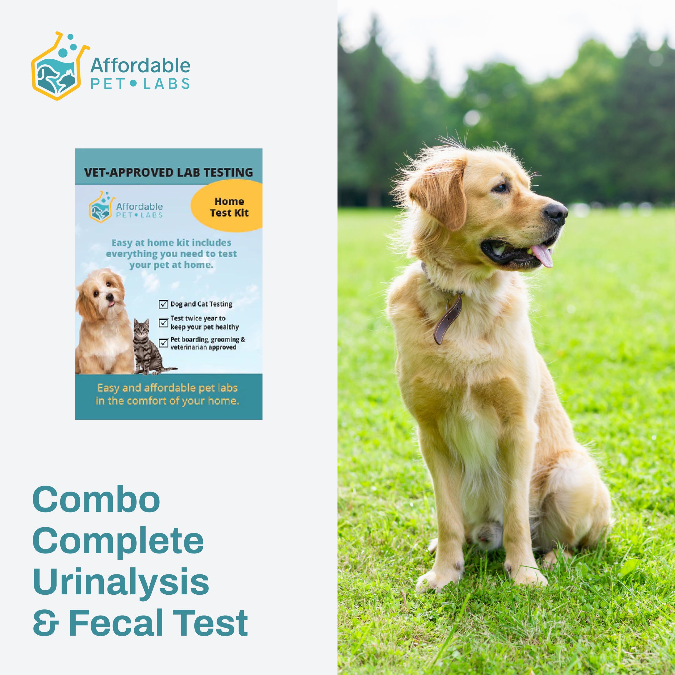 Combo Urinalysis & Fecal Test for Dogs | Affordable Pet Labs