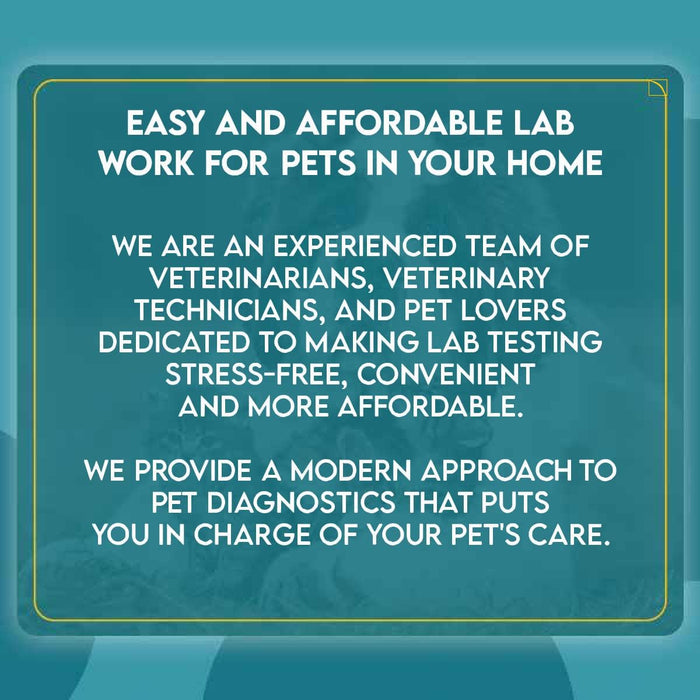Fecal & Giardia Test Kit for Cats | Affordable Pet Labs