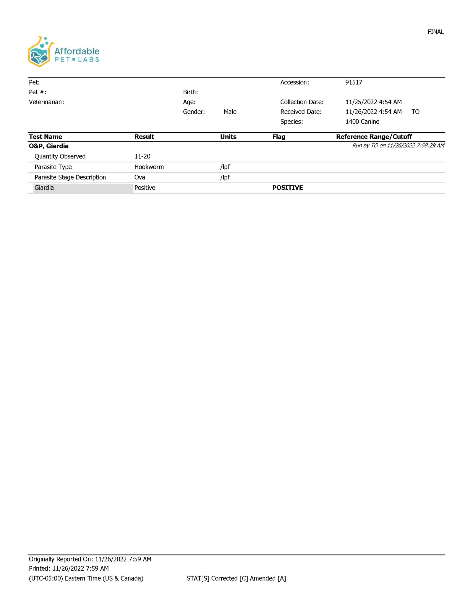 Fecal & Giardia Test Kit for Dogs | Affordable Pet Labs