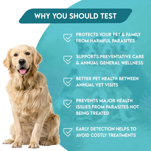 Fecal & Giardia Test Kit for Dogs | Affordable Pet Labs