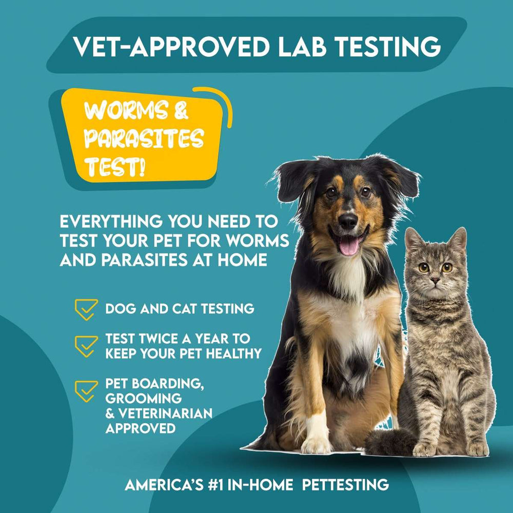 Fecal & Giardia Test Kit for Dogs | Affordable Pet Labs